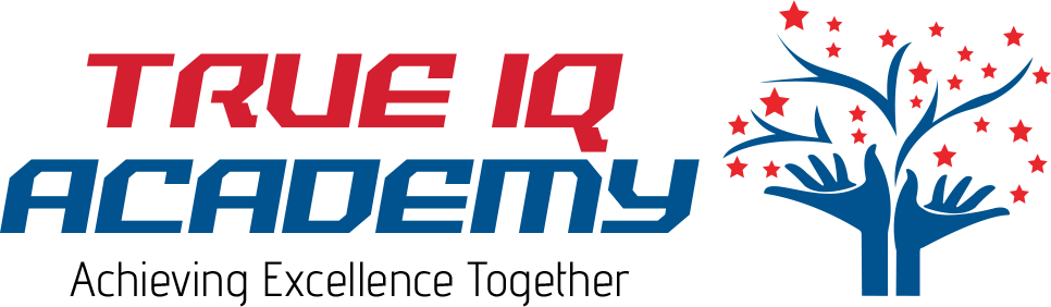 Director's Pen - True IQ Academy